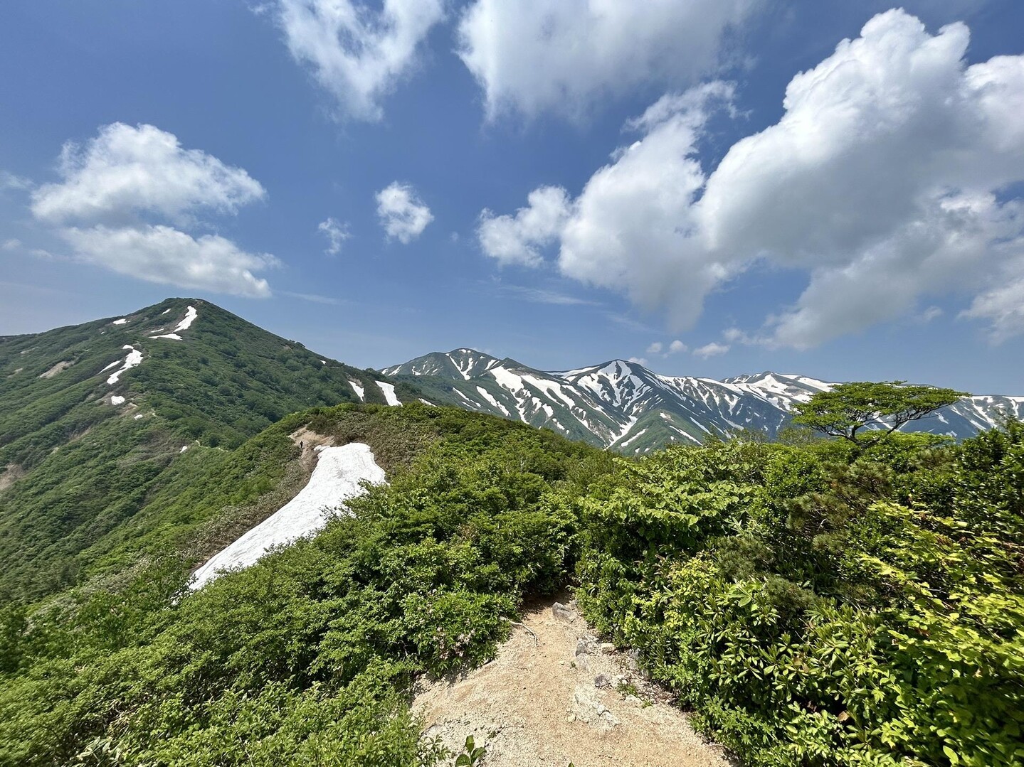 ハナヌキ峰・古寺山・小朝日岳・大朝日岳 / katuyaさんの大朝日岳・朝日連峰・祝瓶山の活動データ | YAMAP / ヤマップ