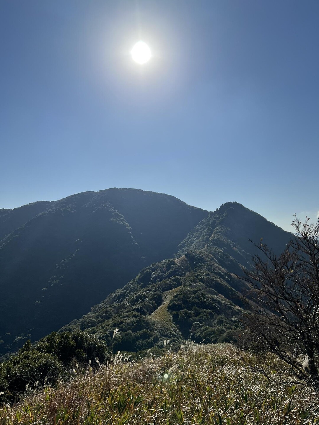 小文字山・妙見山・足立山（霧ヶ岳） / しんちゃん 😝with🍄カペリーニ君（変化系）さんの足立山・戸ノ上山の活動データ | YAMAP / ヤマップ
