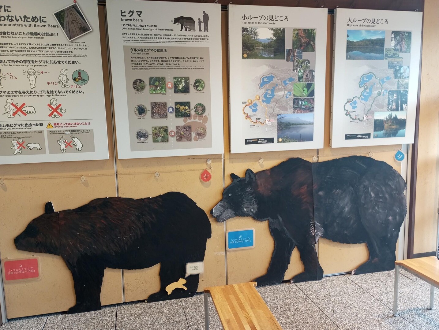 tafuの〜北海道遠征12。上陸10日目... / tafuさんのモーメント | YAMAP / ヤマップ