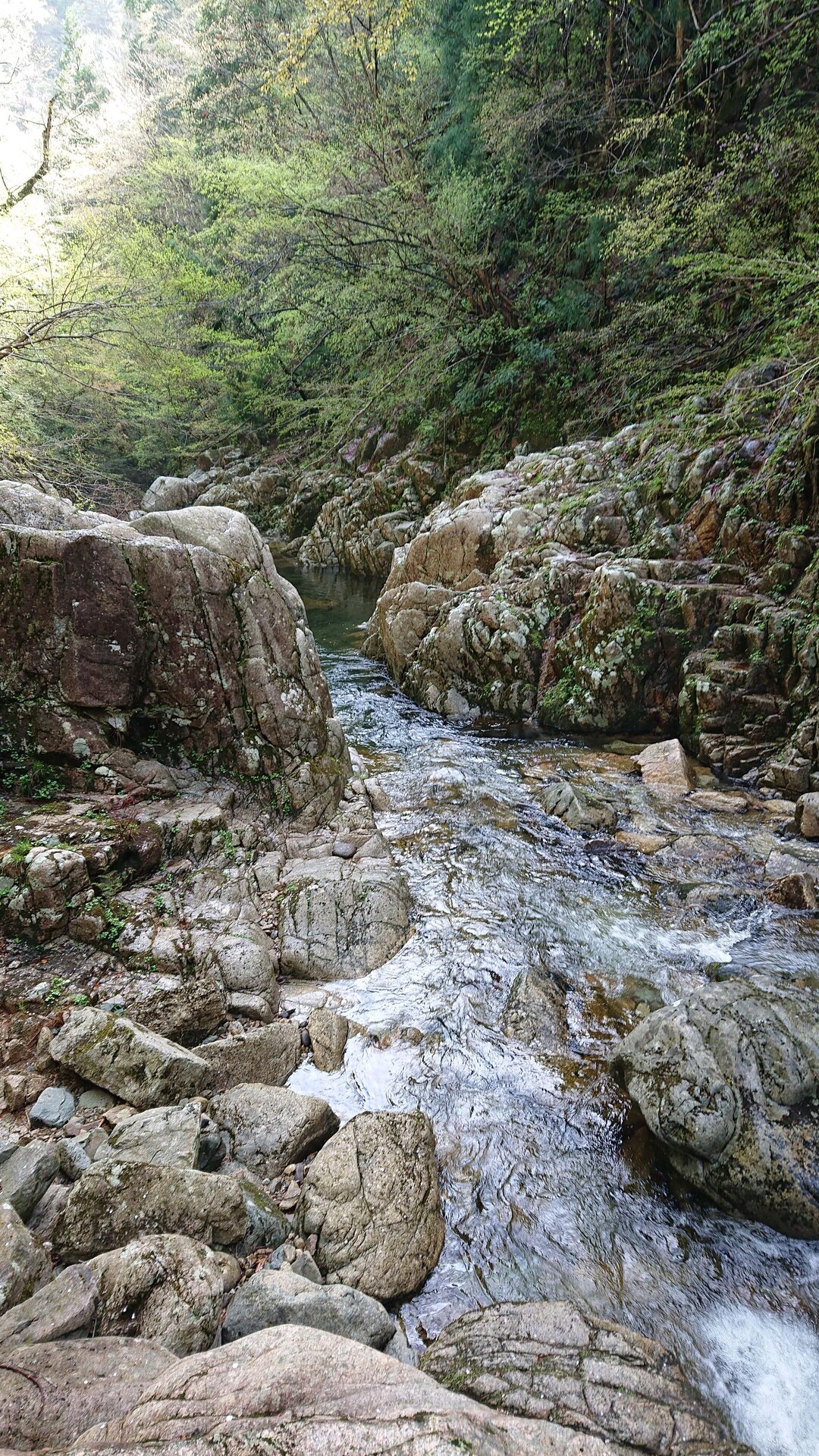 渓流釣り#4 デカイのが釣れないなぁ～ ... / うさぎ君さんのモーメント | YAMAP / ヤマップ