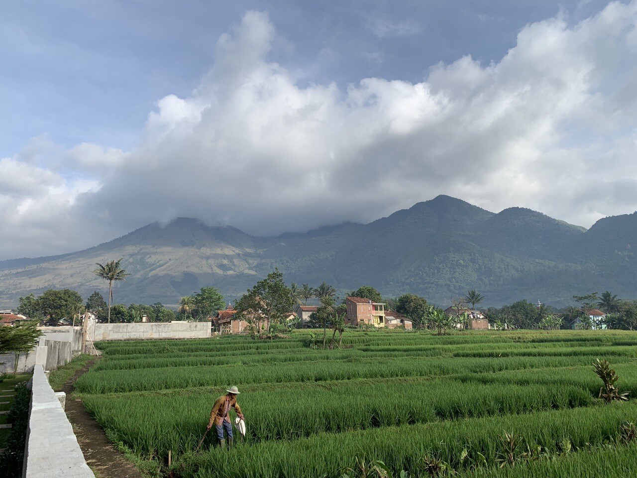 🇮🇩Gn Guntur Garut / FJ mossanさんのグントール山の活動データ | YAMAP / ヤマップ