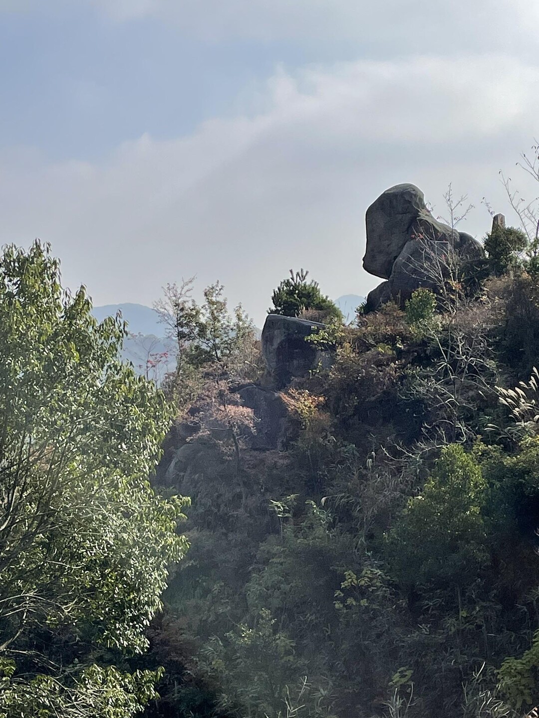 因島白滝山のゴリラ岩、しまなみ海道を望む... / miya-miyaさんのモーメント | YAMAP / ヤマップ