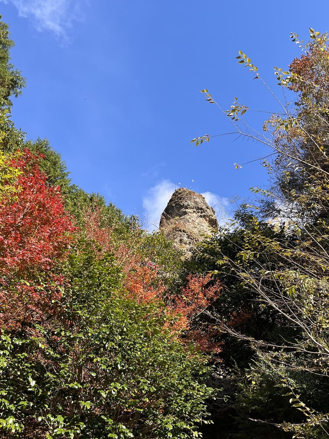 岳滅鬼山・岳滅鬼岳 / motoさんの釈迦ヶ岳・大日ヶ岳・岳滅鬼山の活動データ | YAMAP / ヤマップ