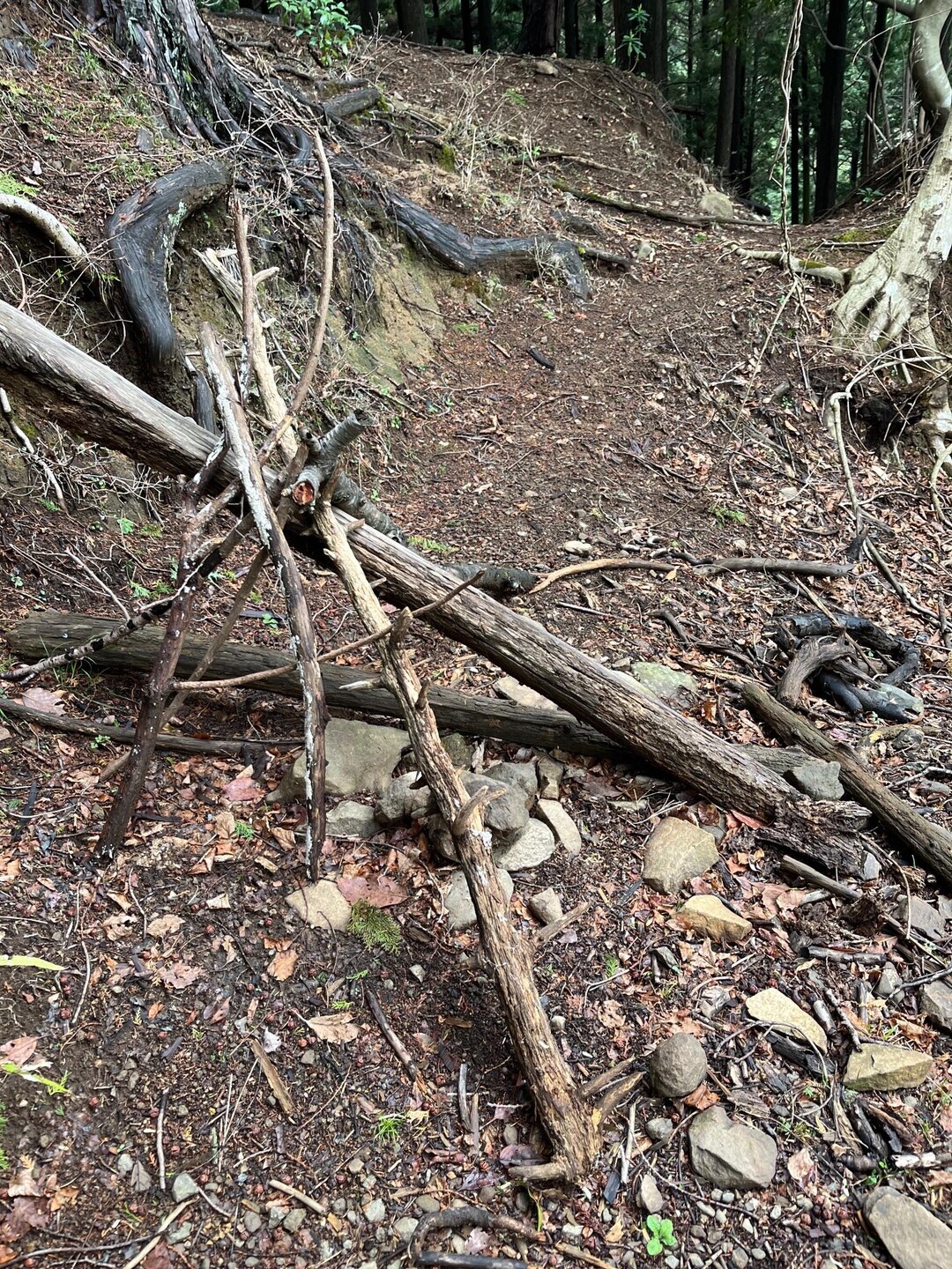 ZiMaさんの投稿したフィールドメモ | YAMAP / ヤマップ