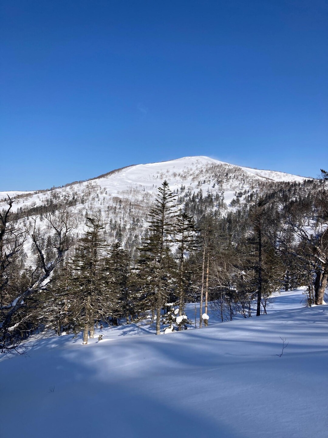熊見山・労山熊見山 / Ezo1さんの熊見山の活動データ | YAMAP / ヤマップ