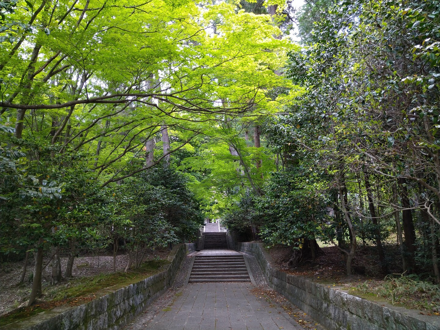 YUMIのページ | YAMAP / ヤマップ