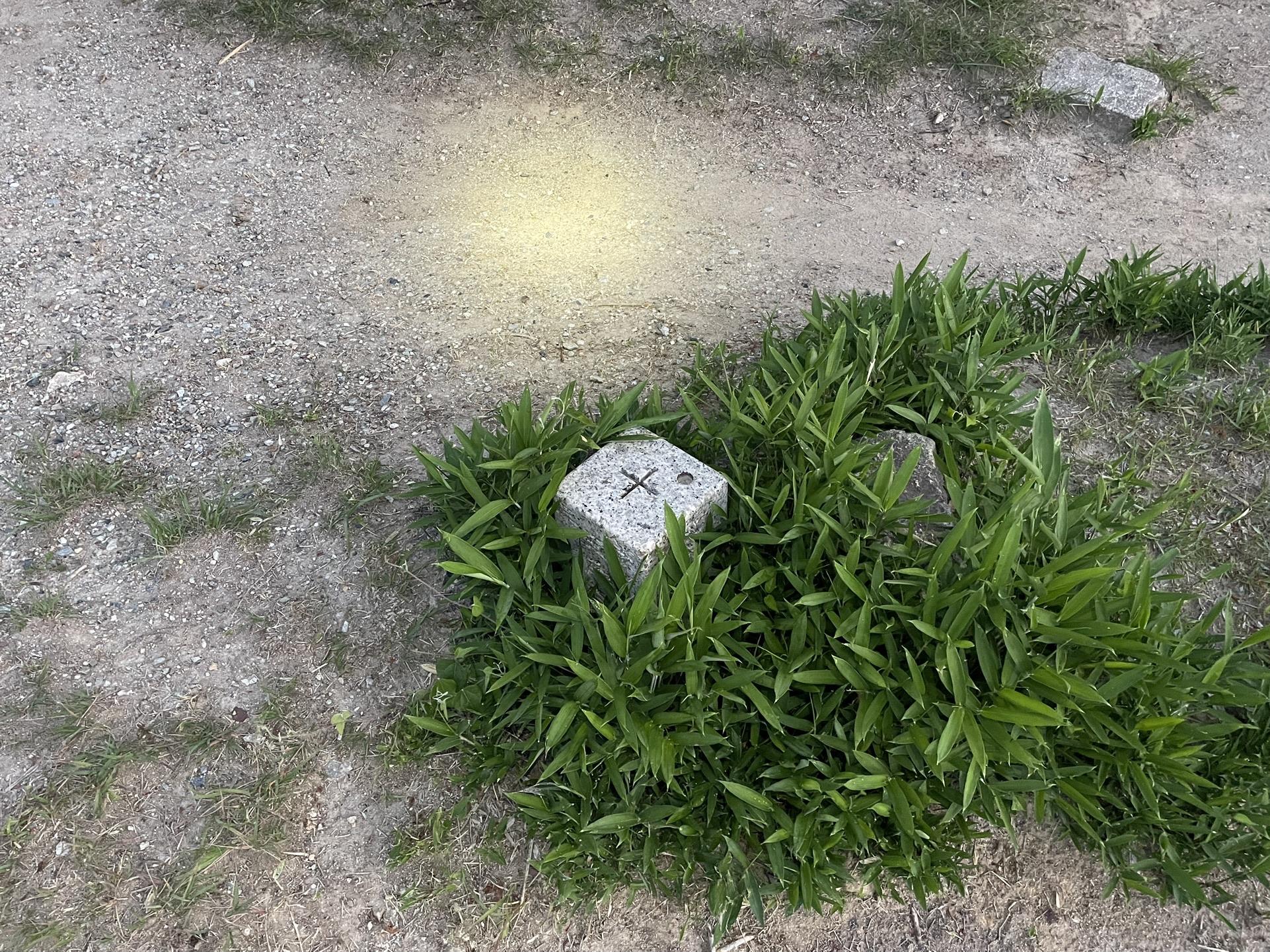 tsk-chaponさんの投稿したフィールドメモ | YAMAP / ヤマップ