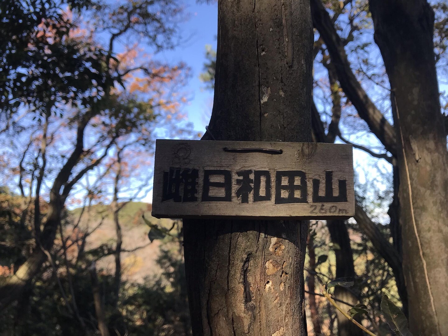 日和田山・山頂・高指山・物見山 / Terry Mさんの日和田山・物見山の活動データ | YAMAP / ヤマップ