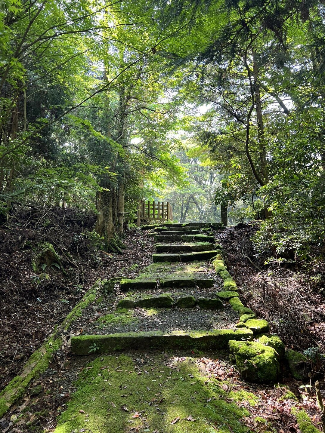 御許山 / mimさんの御許山・雲ヶ岳・米神山の活動データ | YAMAP / ヤマップ