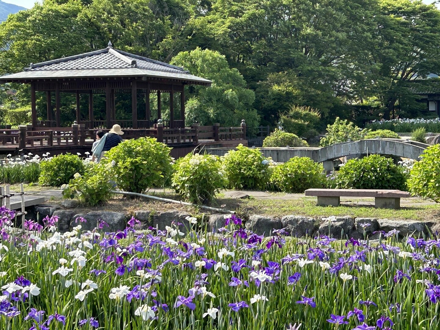 小城市の2城をクリアして、『大和中央公園... / yasuさんのモーメント | YAMAP / ヤマップ