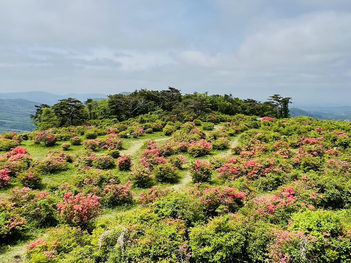 高柴山 / ymatさんの高柴山の活動データ | YAMAP / ヤマップ