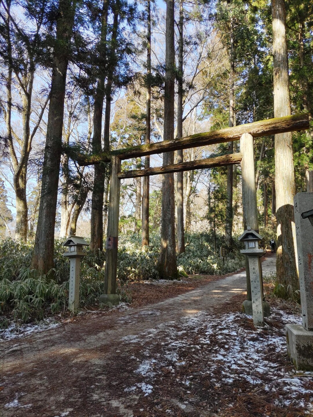 葛木岳・金剛山・大日岳 / T64さんの金剛山・二上山・大和葛城山の活動データ | YAMAP / ヤマップ