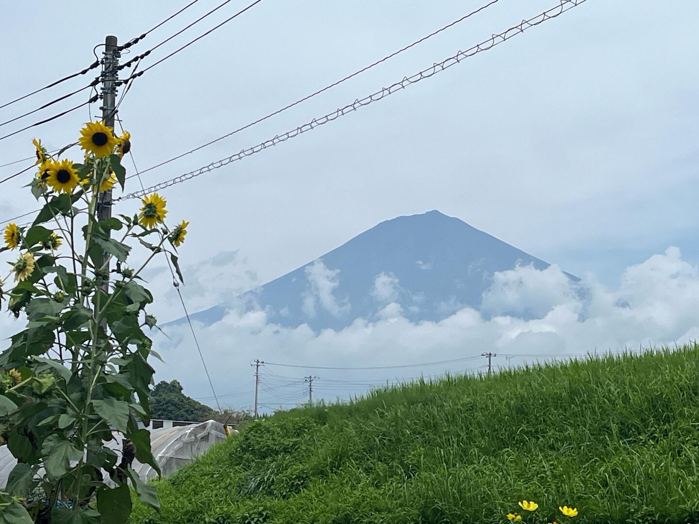 長者ヶ岳・天子ヶ岳 / なおさんさんのFUJISAN LONG TRAIL（天子山地エリア WEST）の活動日記 | YAMAP / ヤマップ