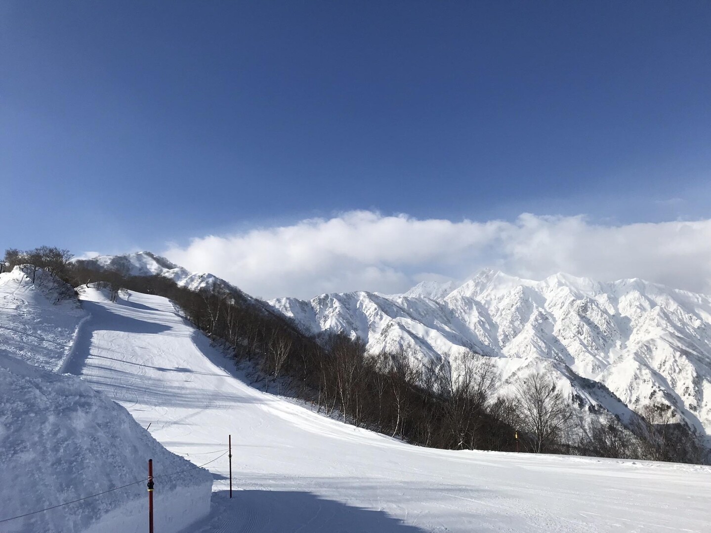 白馬五竜・Hakuba47 / Q3さんの鹿島槍ヶ岳・五竜岳（五龍岳）・唐松岳の活動データ | YAMAP / ヤマップ