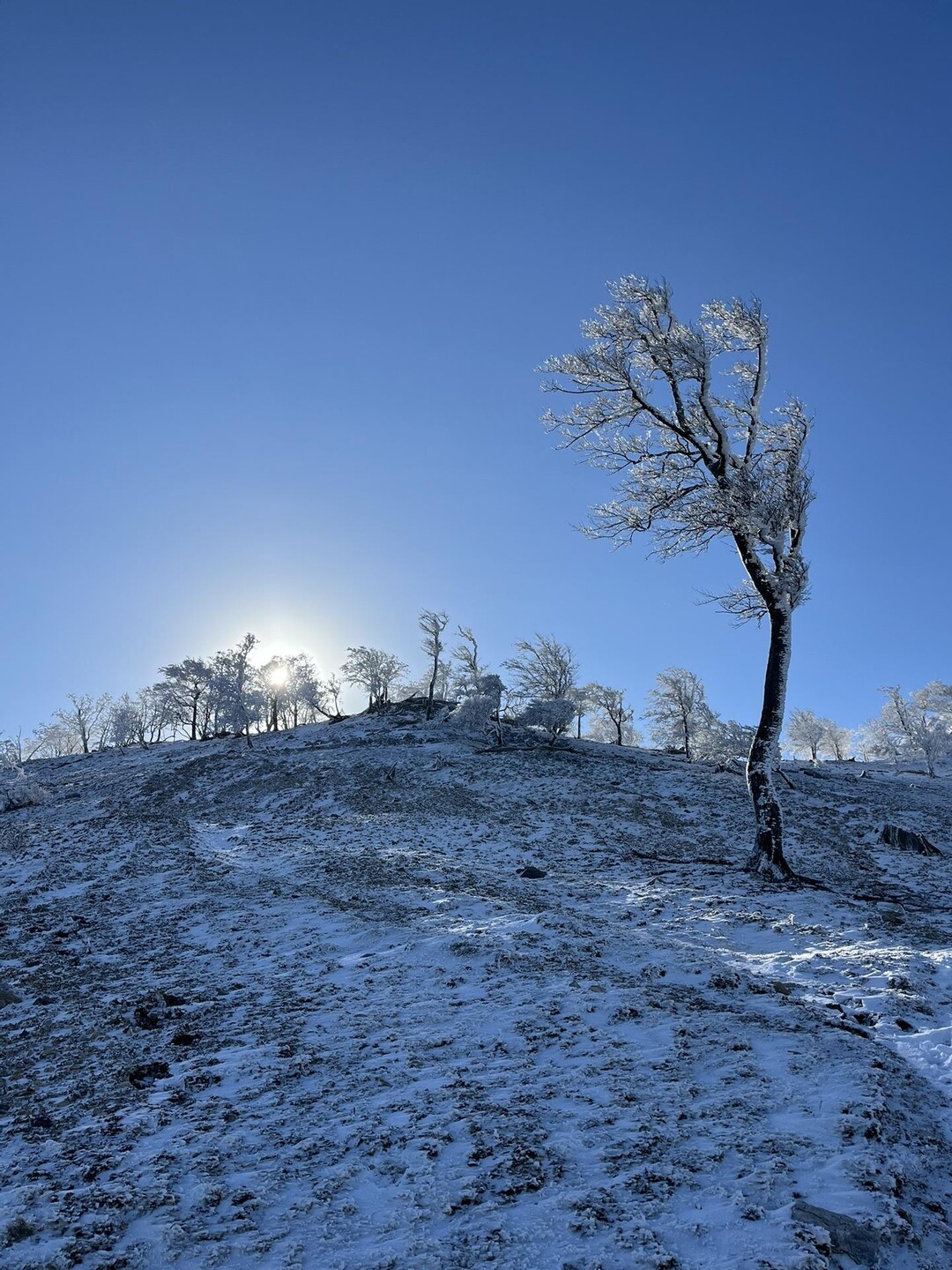 桧塚・桧塚奥峰 / yattinさんの桧塚奥峰・明神岳・薊岳の活動データ | YAMAP / ヤマップ