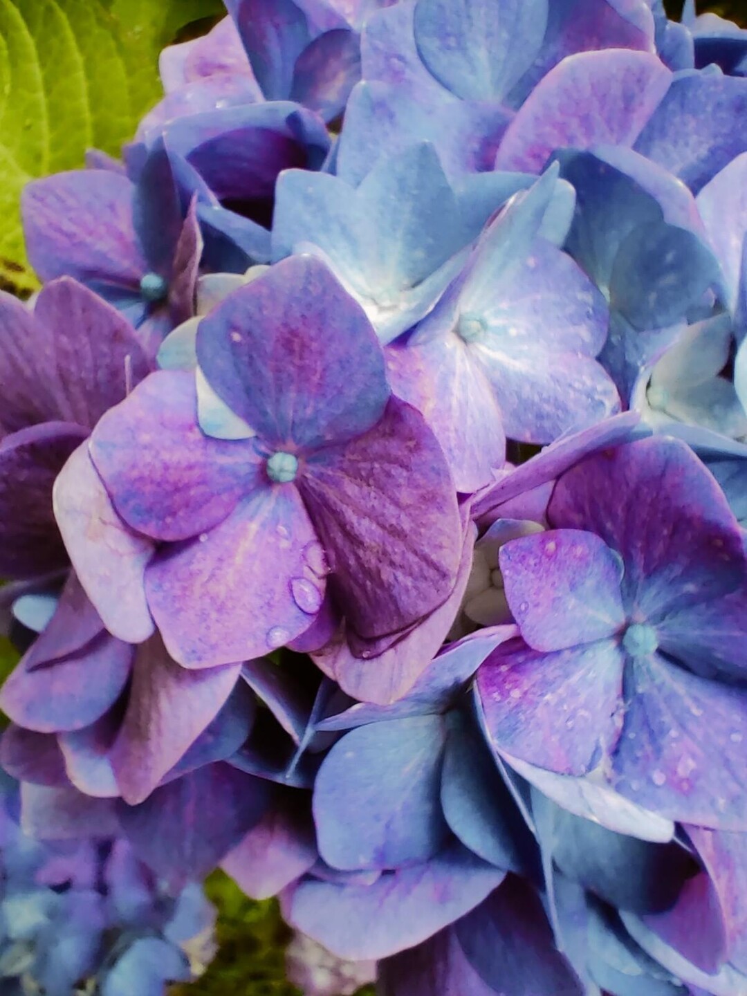 大津山 / HIROMIさんの大津山の活動データ | YAMAP / ヤマップ