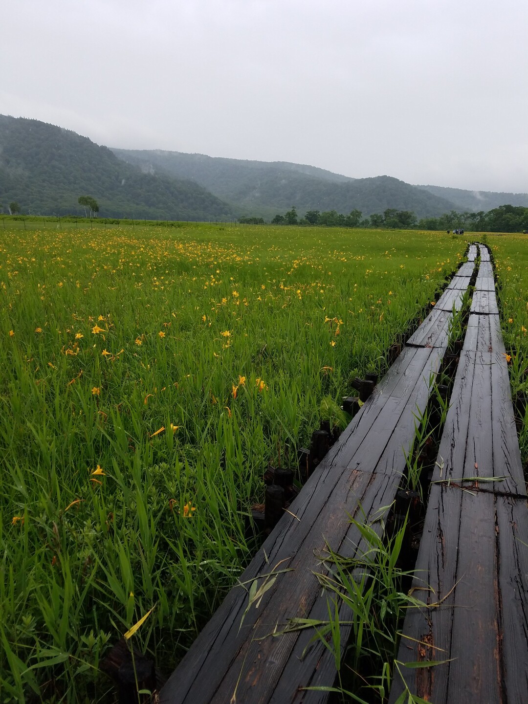 尾瀬・燧ヶ岳-2022-07-18 / el28さんの尾瀬・燧ヶ岳の活動データ | YAMAP / ヤマップ