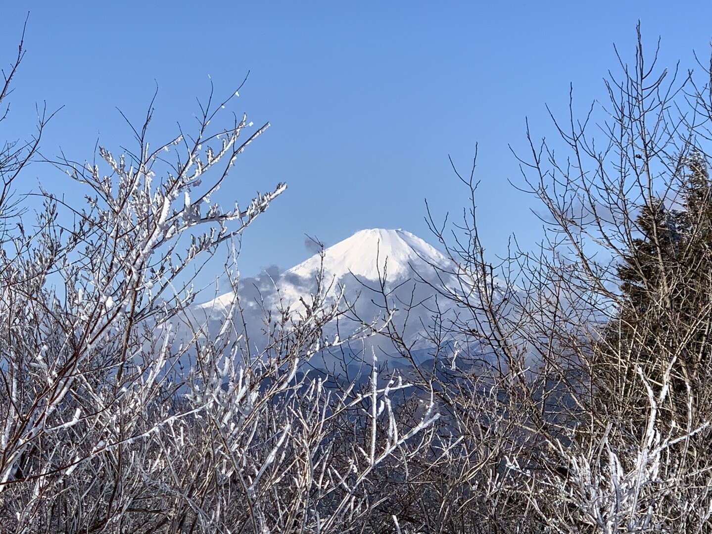 丹沢表尾根雪山縦走😊 / hirosyさんの丹沢山の活動データ | YAMAP / ヤマップ
