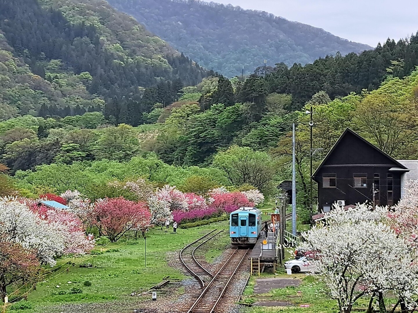 ウォーキング-2024-04-21 / jasmineさんのウォーキングの活動データ | YAMAP / ヤマップ
