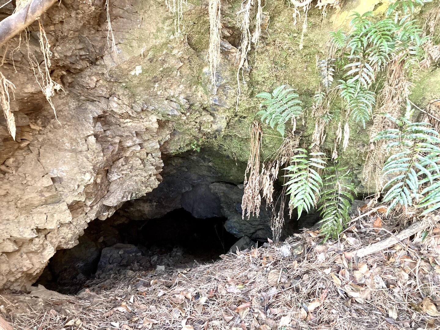 rokuさんの投稿したフィールドメモ | YAMAP / ヤマップ