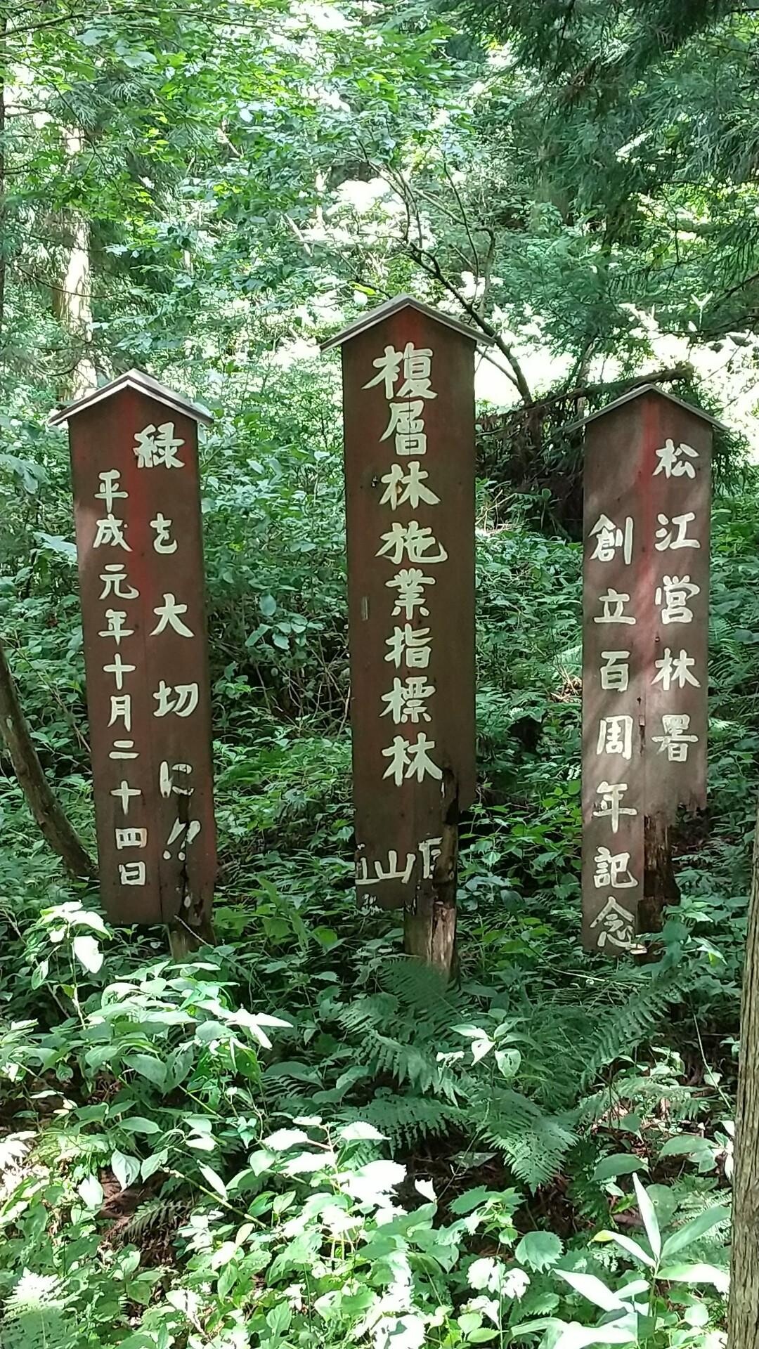 船通山 / potchyさんの船通山・玉峰山の活動データ | YAMAP / ヤマップ