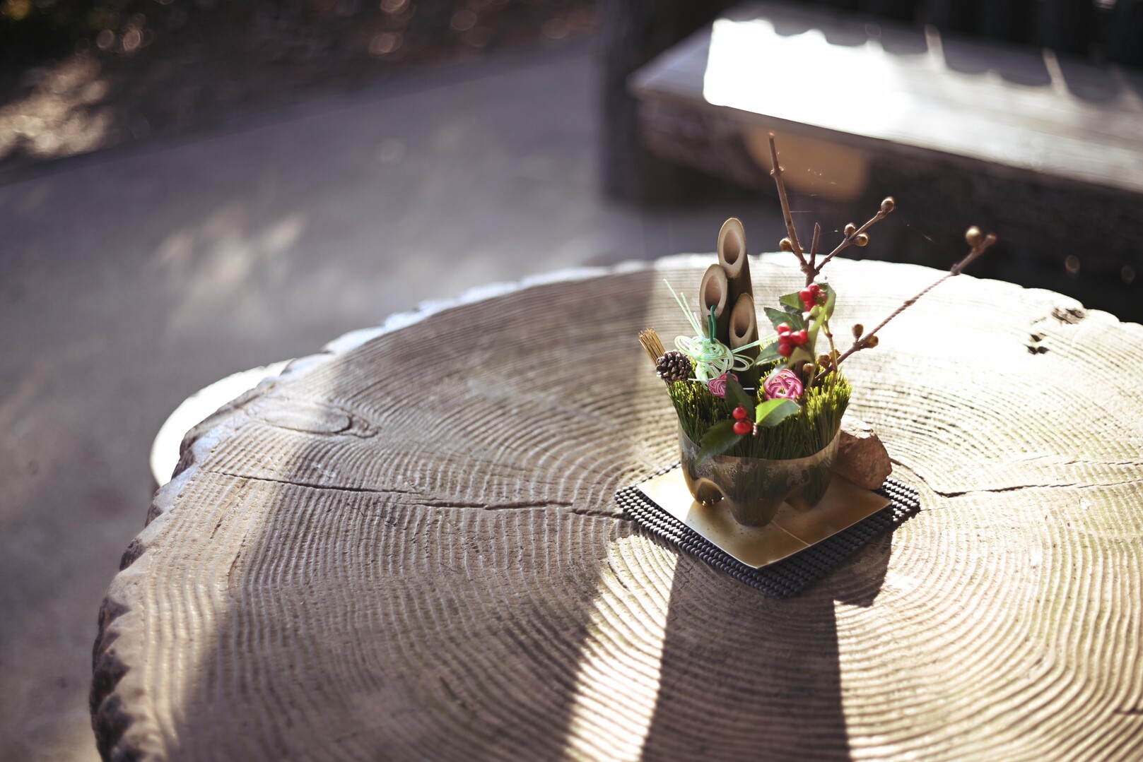 明けましておめでとうございます。 / k3さんのハイキングの活動データ | YAMAP / ヤマップ