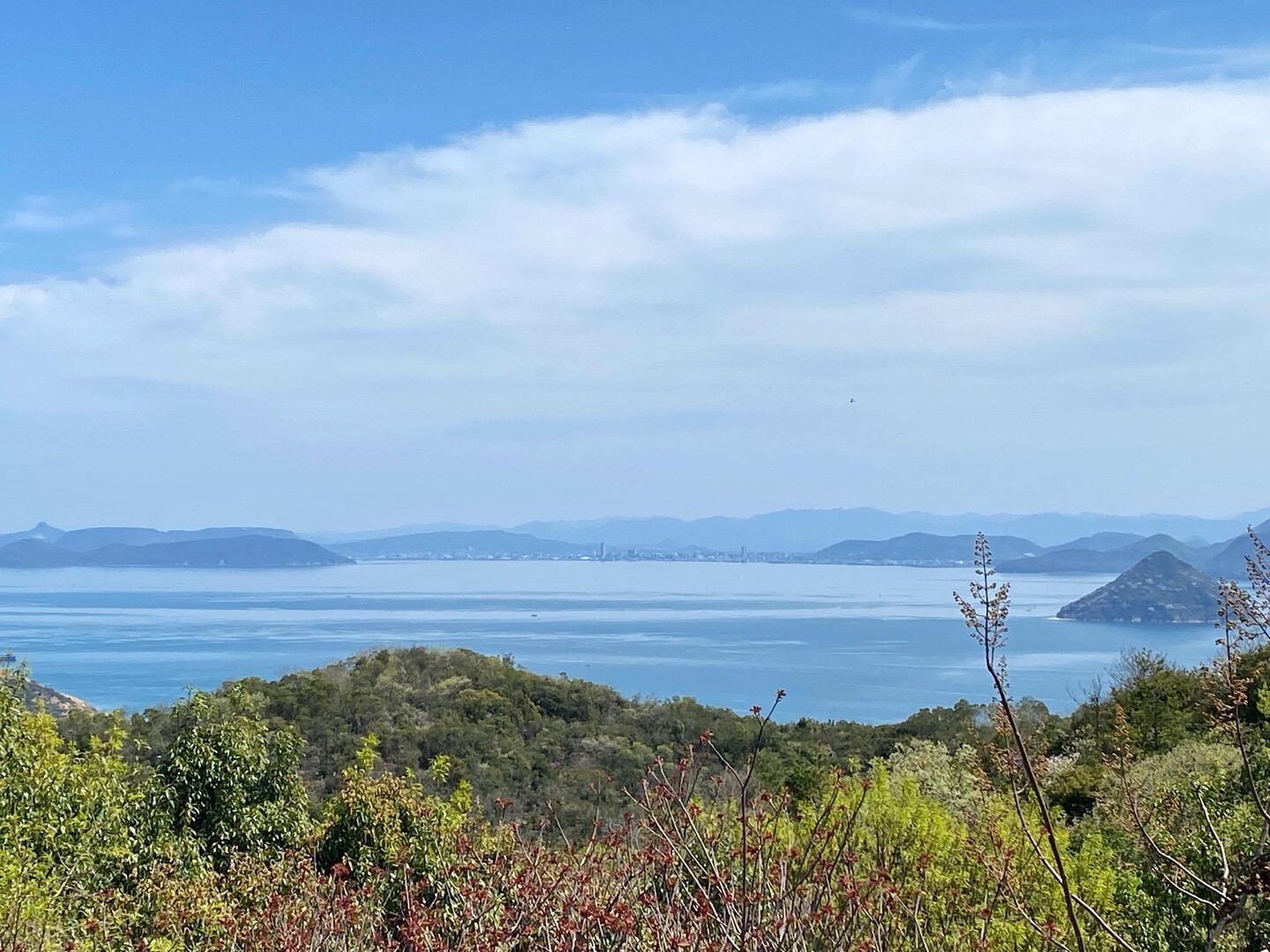 ウォーキング-2024-04-12 王子が岳ウクレレ演奏 / tomyさんのウォーキングの活動データ | YAMAP / ヤマップ