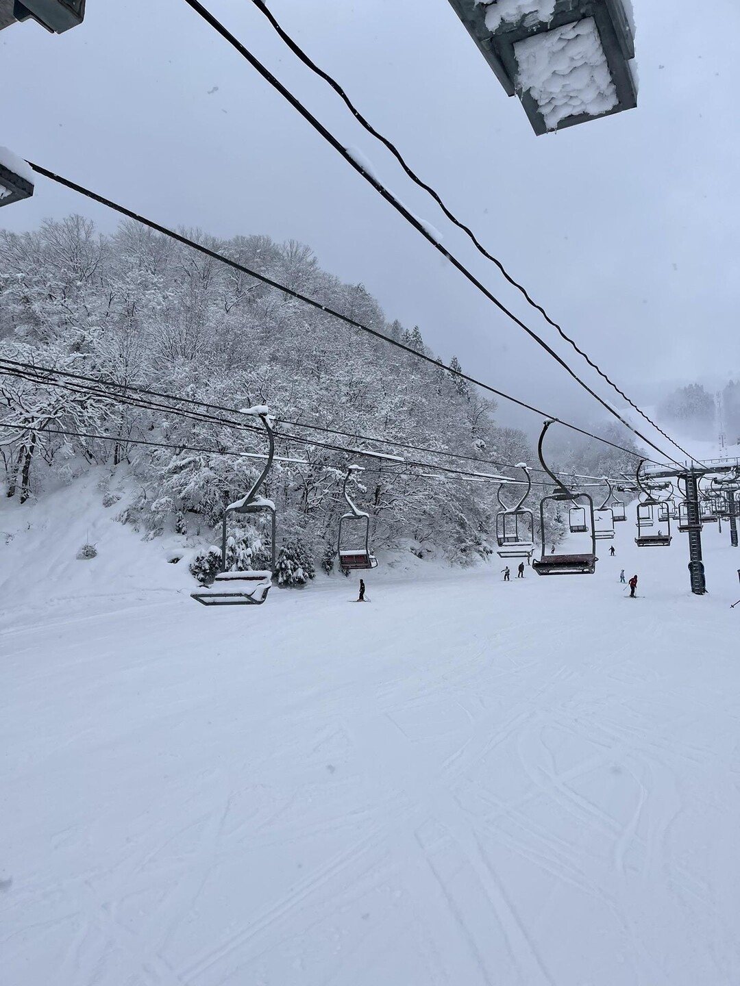 初滑り⛷行ってきました〜😆へっぽこスキ... / M&Tさんのモーメント | YAMAP / ヤマップ
