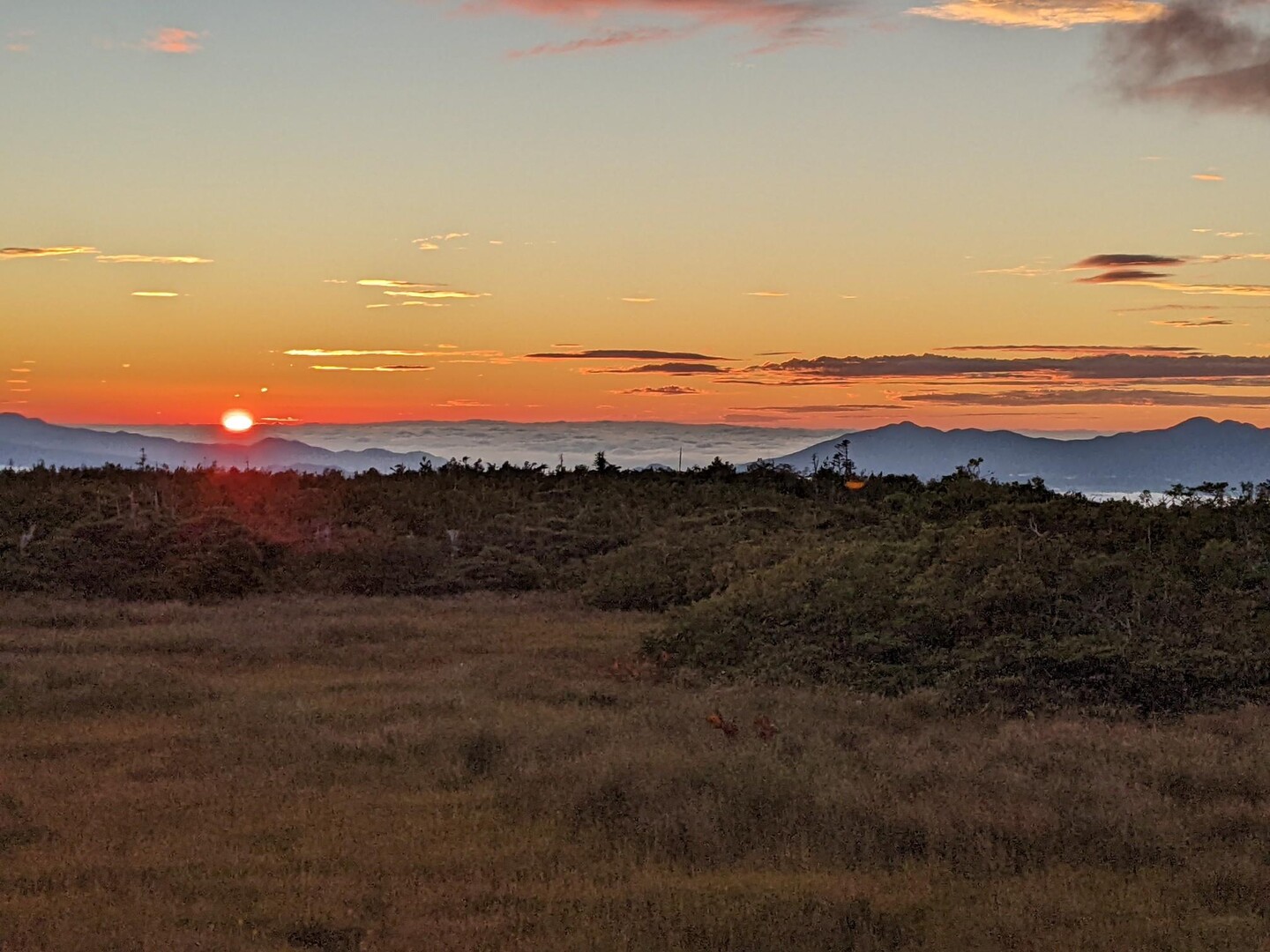 帝釈山/ 台倉高山 昨日は大雨にやられる... / YOLOさんのモーメント | YAMAP / ヤマップ