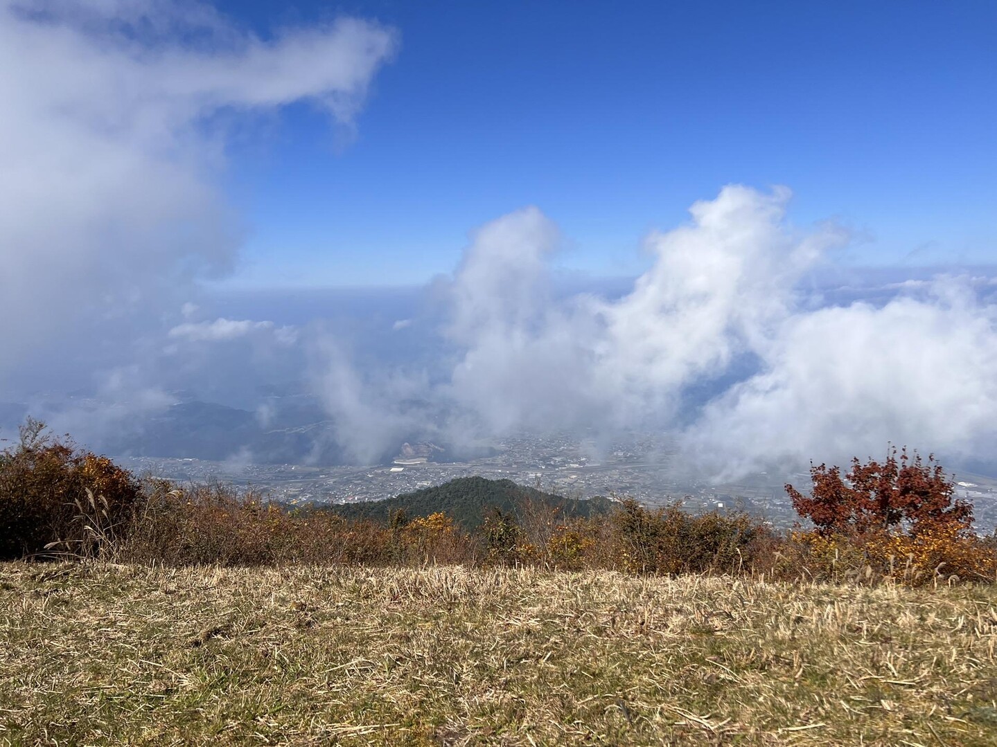 赤星山-2022-10-23 / yamakenさんの登山の活動データ | YAMAP / ヤマップ