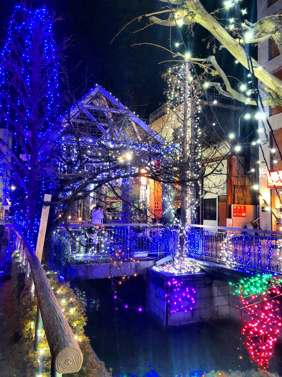 釜川イルミネーション 幻想... / PANAPPさんのモーメント | YAMAP / ヤマップ