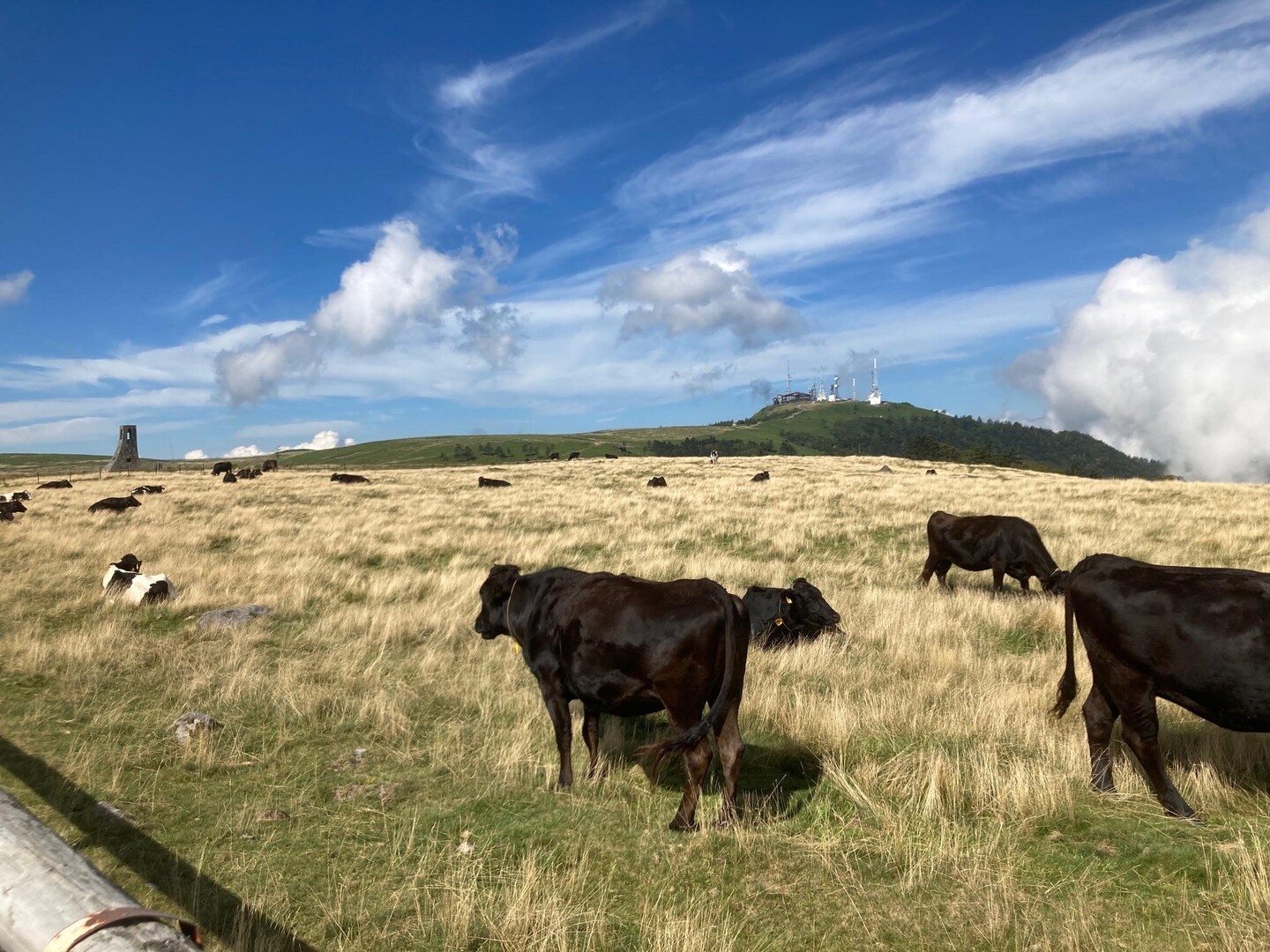 美ヶ原ハイキング / komaさんの美ヶ原の活動データ | YAMAP / ヤマップ