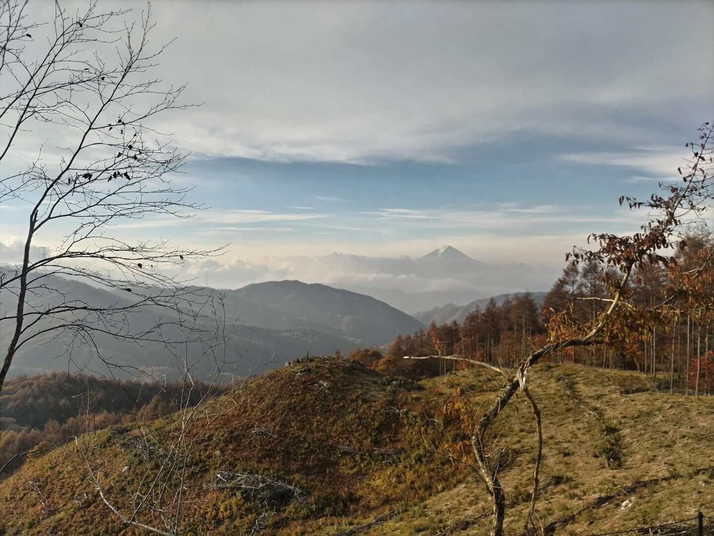 甲州アルプスオートルート70k(DNF ) / エミさんの甲州高尾山・宮宕山・源次郎岳の活動データ | YAMAP / ヤマップ