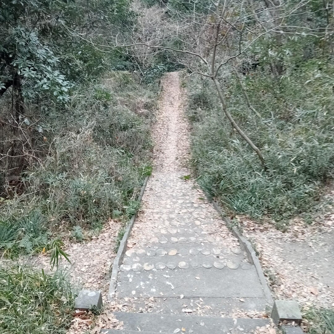 NTNさんの投稿したフィールドメモ | YAMAP / ヤマップ