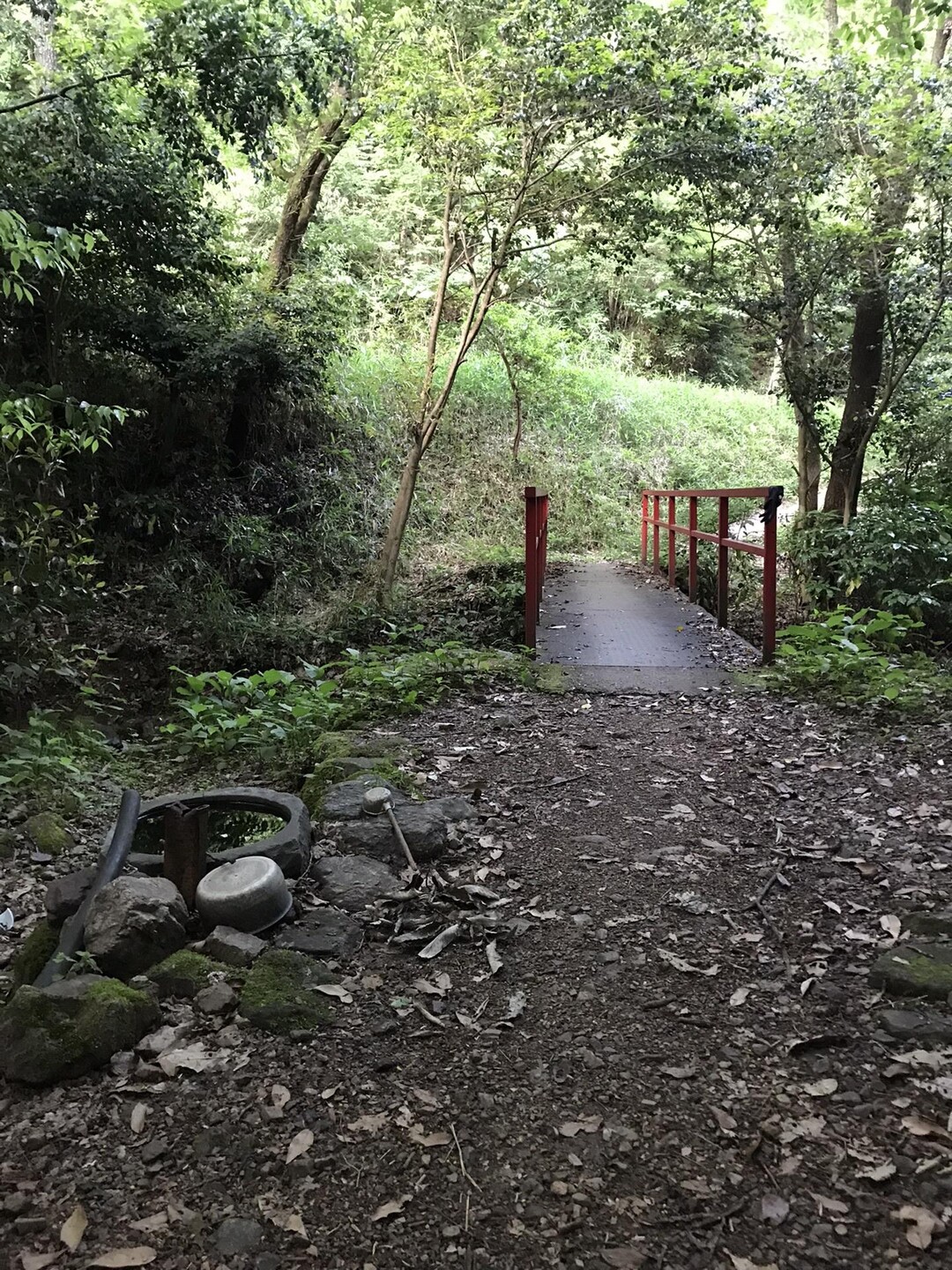 暑かった☀️辛かった😭各アル縦走⛰ / kunitaroさんの各務原アルプス（関南アルプス）・八木三山の活動データ | YAMAP / ヤマップ