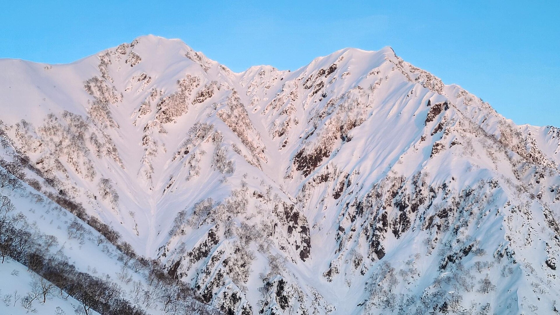 爺ヶ岳東尾根 / ym5shinさんの鹿島槍ヶ岳・五竜岳（五龍岳）・唐松岳の活動データ | YAMAP / ヤマップ