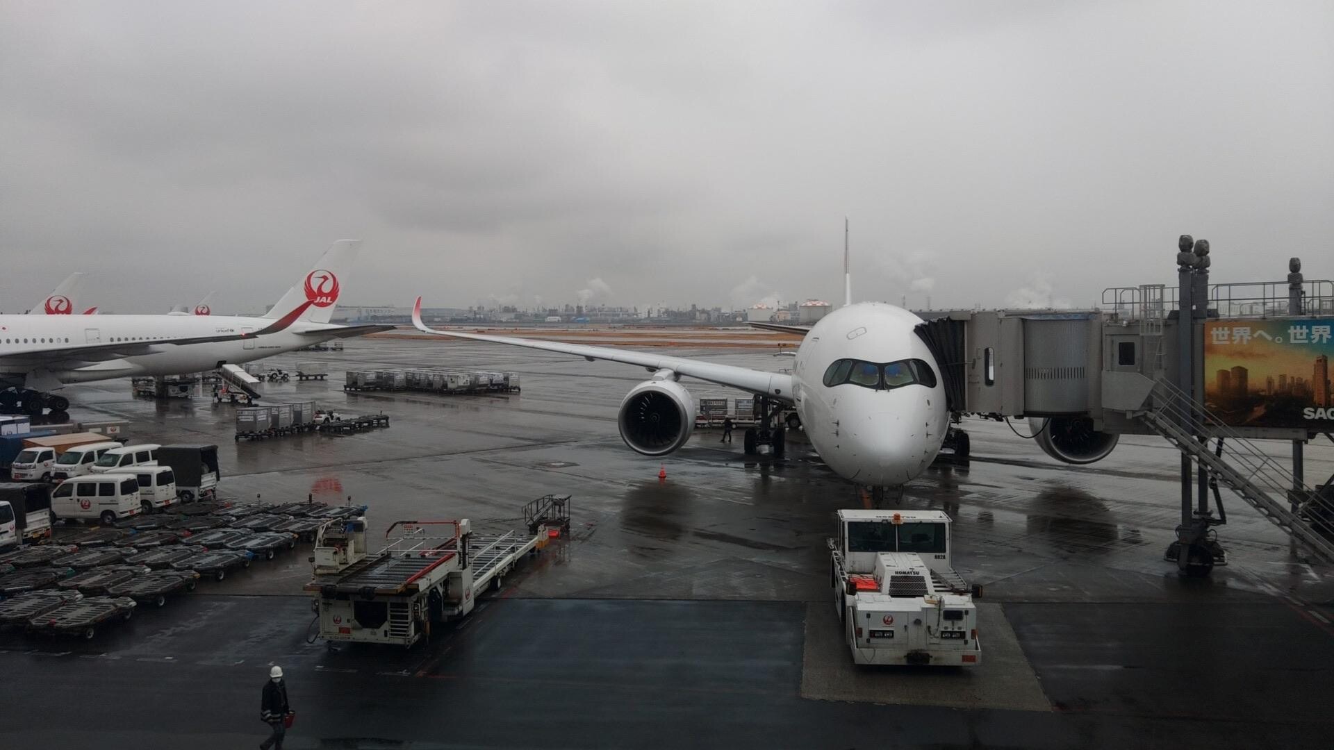 2024/2/23(金) 九州遠征行って... / ゆきんこ⛄さんのモーメント | YAMAP / ヤマップ