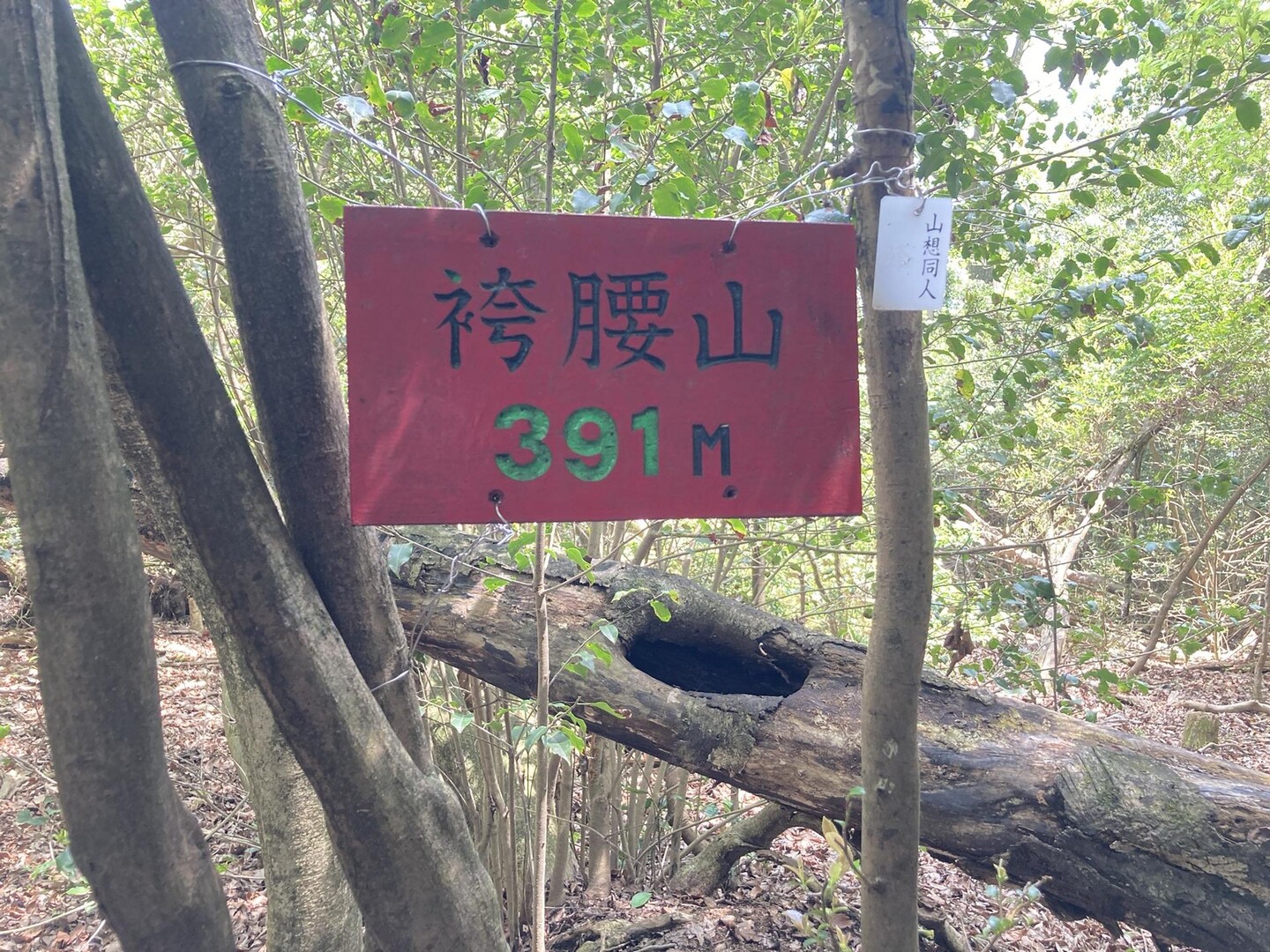 よろしく!二代目!! 20240428 / まゆみんさんの音羽山・醍醐山の活動データ | YAMAP / ヤマップ