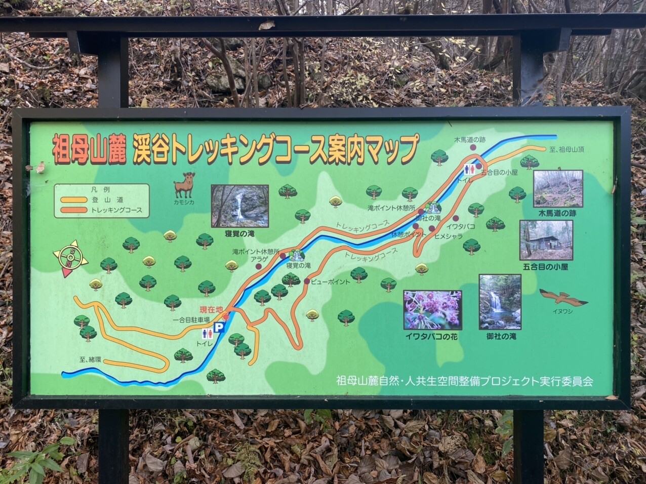 ⛰祖母山偵察⛰ 昨日九重連山から祖母傾山... / Koki・Fさんのモーメント | YAMAP / ヤマップ