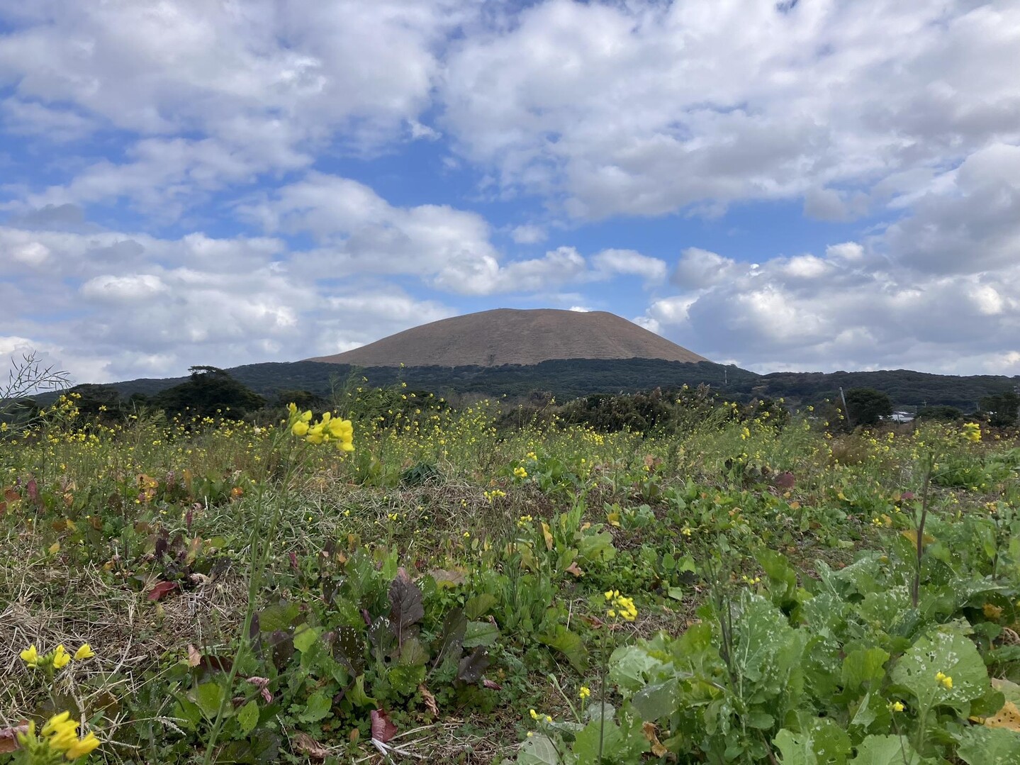 鬼岳めぐる山歩 / ただしさんの鬼岳の活動データ | YAMAP / ヤマップ