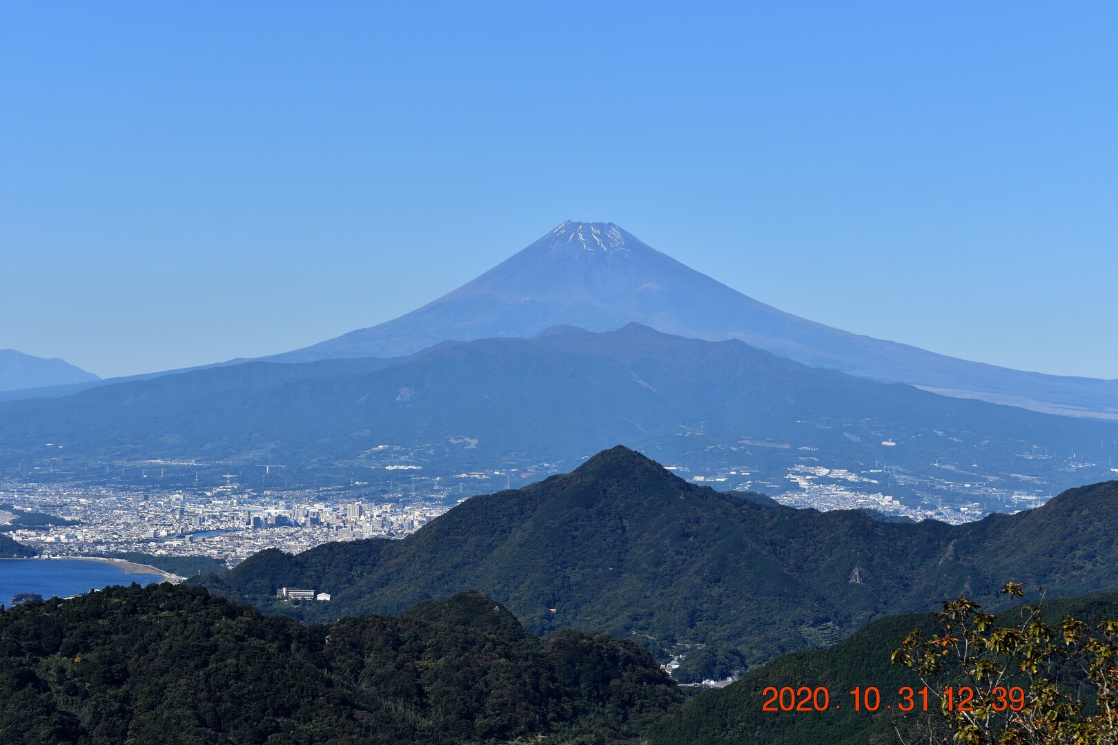 驚きの葛城山(伊豆)～不明瞭超急斜面！→オマケが好展望～ / ピエール・HOSHIさんの金冠山・達磨山・葛城山の活動データ | YAMAP / ヤマップ