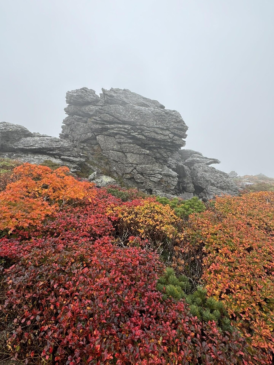 東栗駒山・栗駒山(須川岳) / junjunさんの栗駒山（須川岳）・秣岳・虚空蔵山の活動データ | YAMAP / ヤマップ
