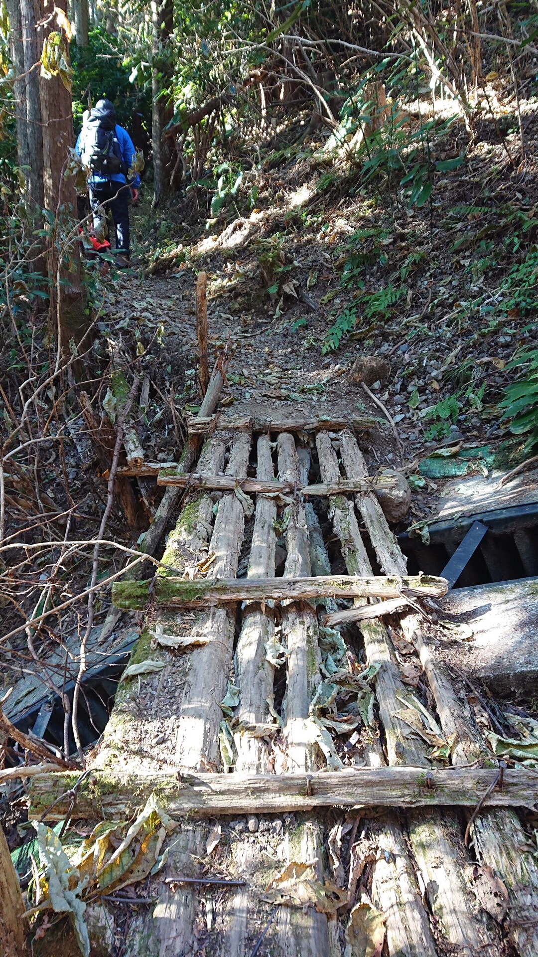 fuu-rinさんの投稿したフィールドメモ | YAMAP / ヤマップ