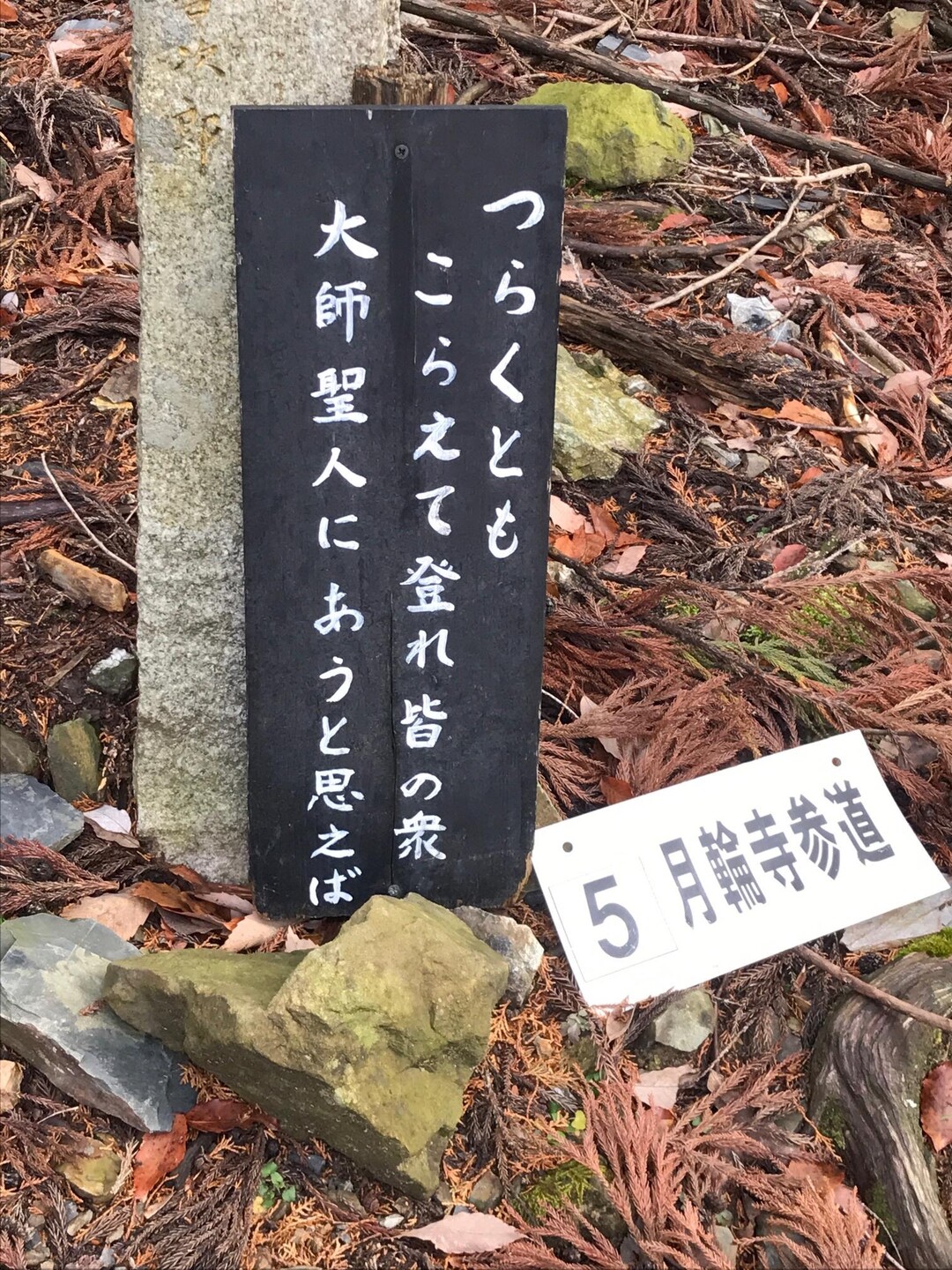 愛宕山 / megさんの愛宕山・三頭山・朝日峯の活動データ | YAMAP / ヤマップ