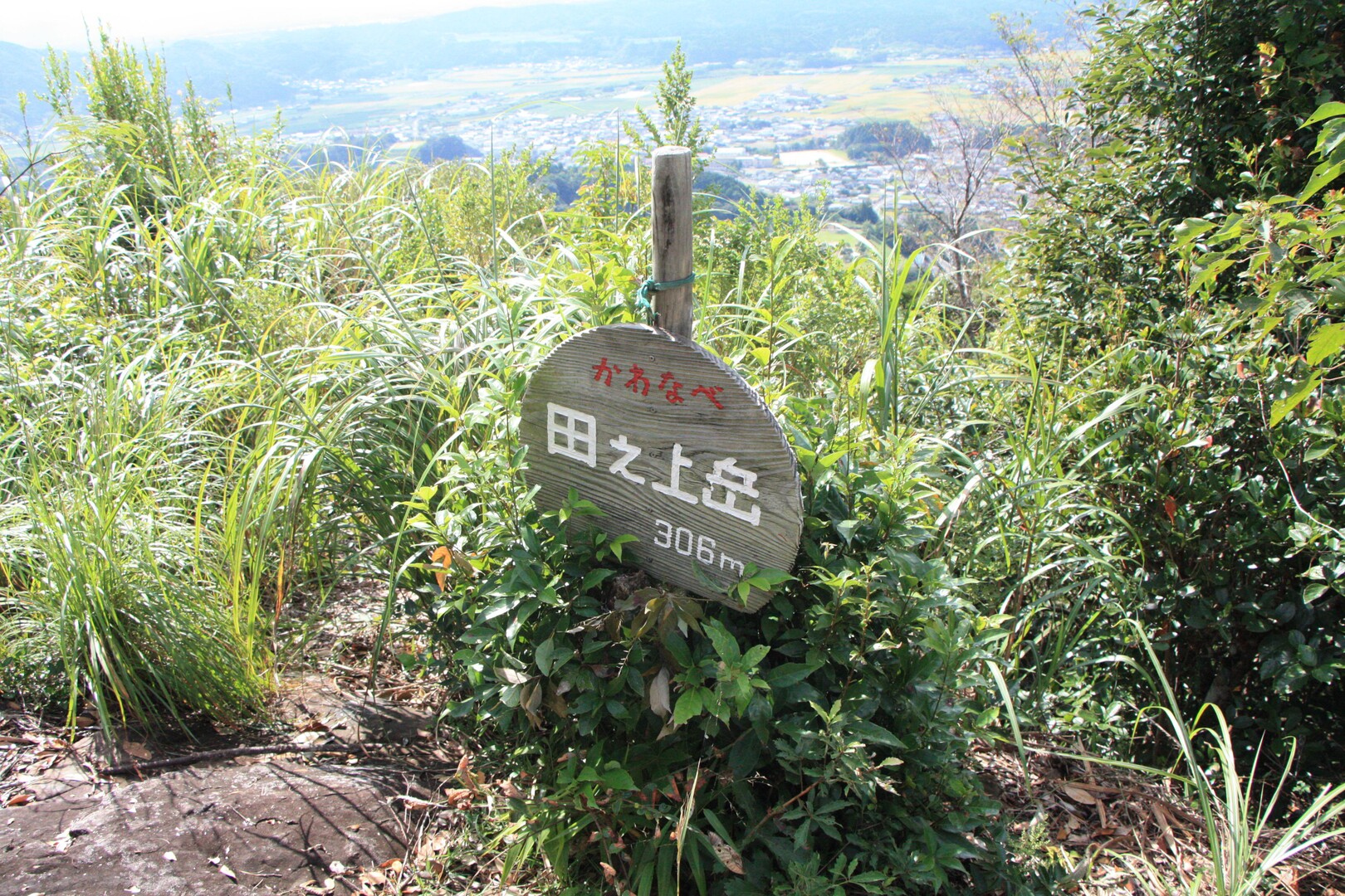 田上岳 / MANさんの田上岳の活動データ | YAMAP / ヤマップ