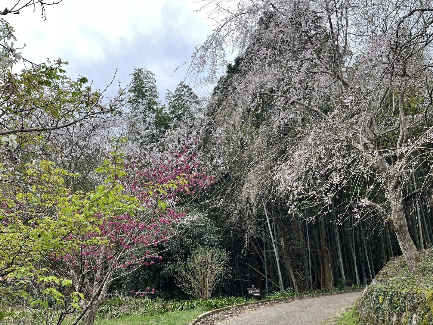満観峰・丸子富士 / INBさんの焼津アルプス（高草山・満観峰・花沢山）・徳願寺山の活動データ | YAMAP / ヤマップ