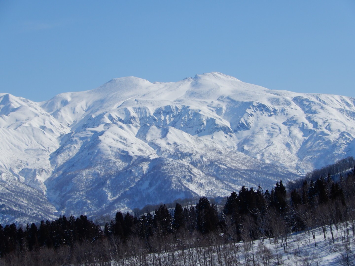 純白の白山・別山を見に💖 / damens さんの取立山の活動データ | YAMAP / ヤマップ