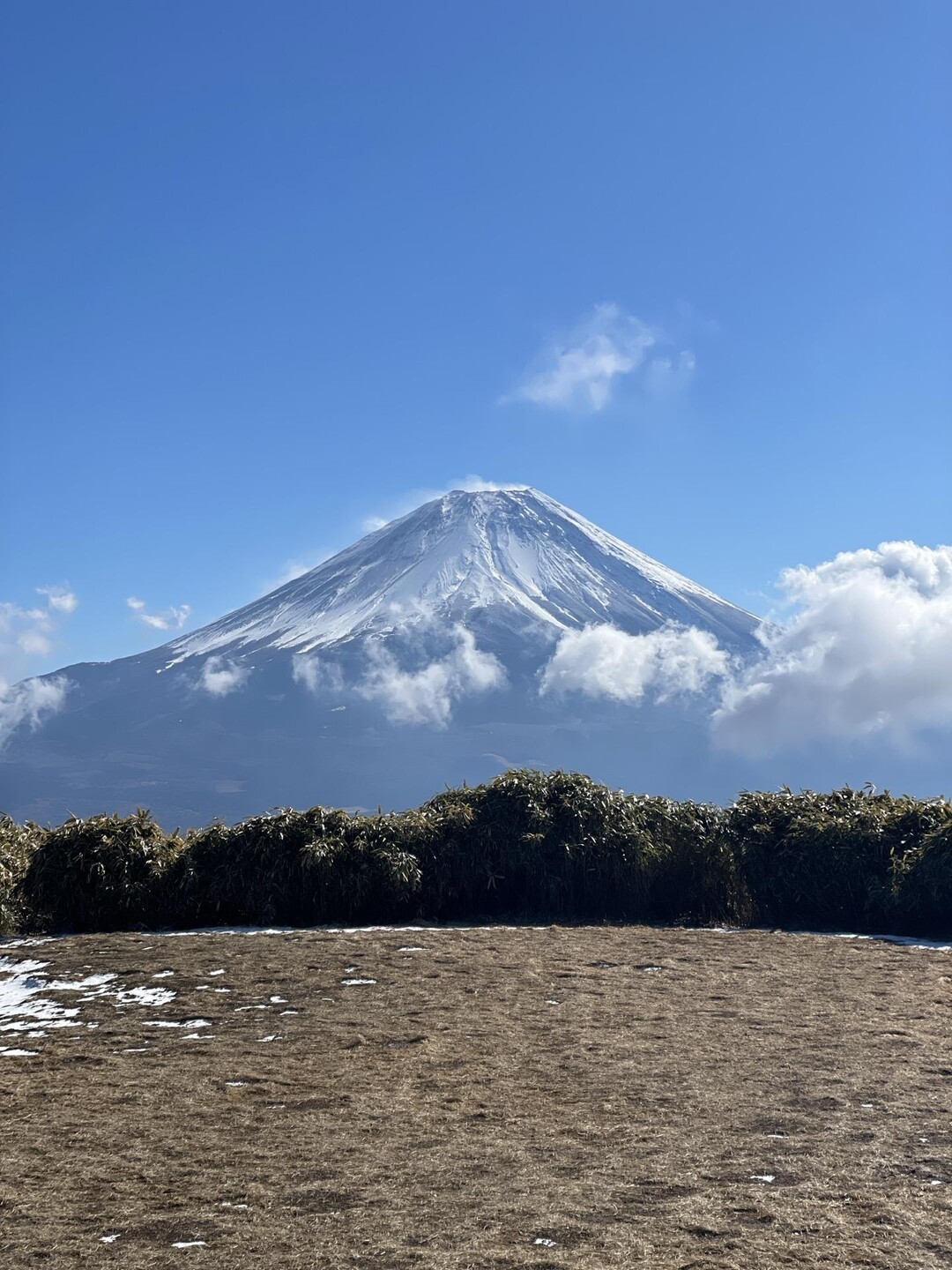 竜ヶ岳 / JJさんの毛無山・雨ヶ岳・竜ヶ岳の活動データ | YAMAP / ヤマップ