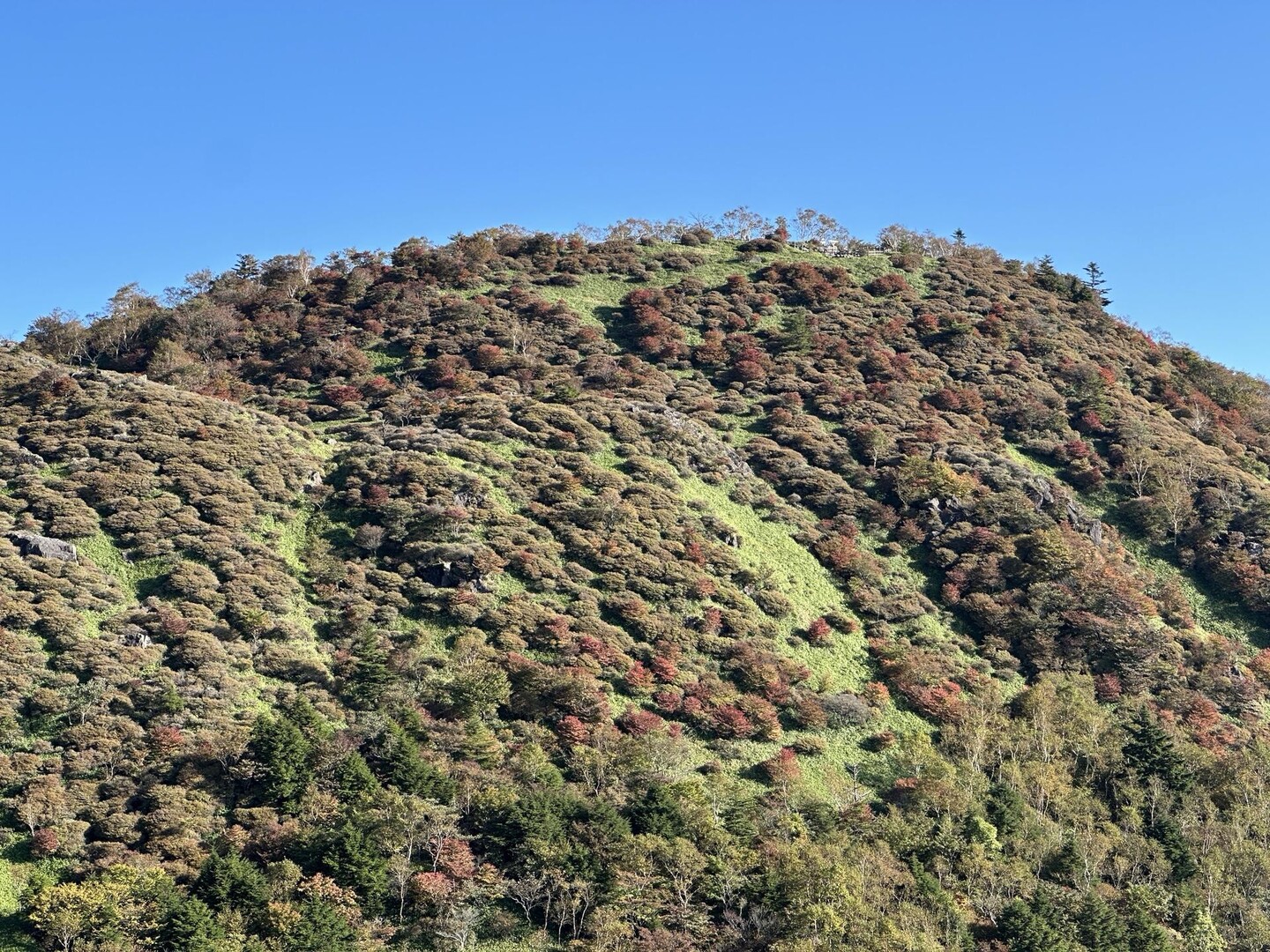 2014.10.12 日光市 霧降高原〜... / ルインさんのモーメント | YAMAP / ヤマップ