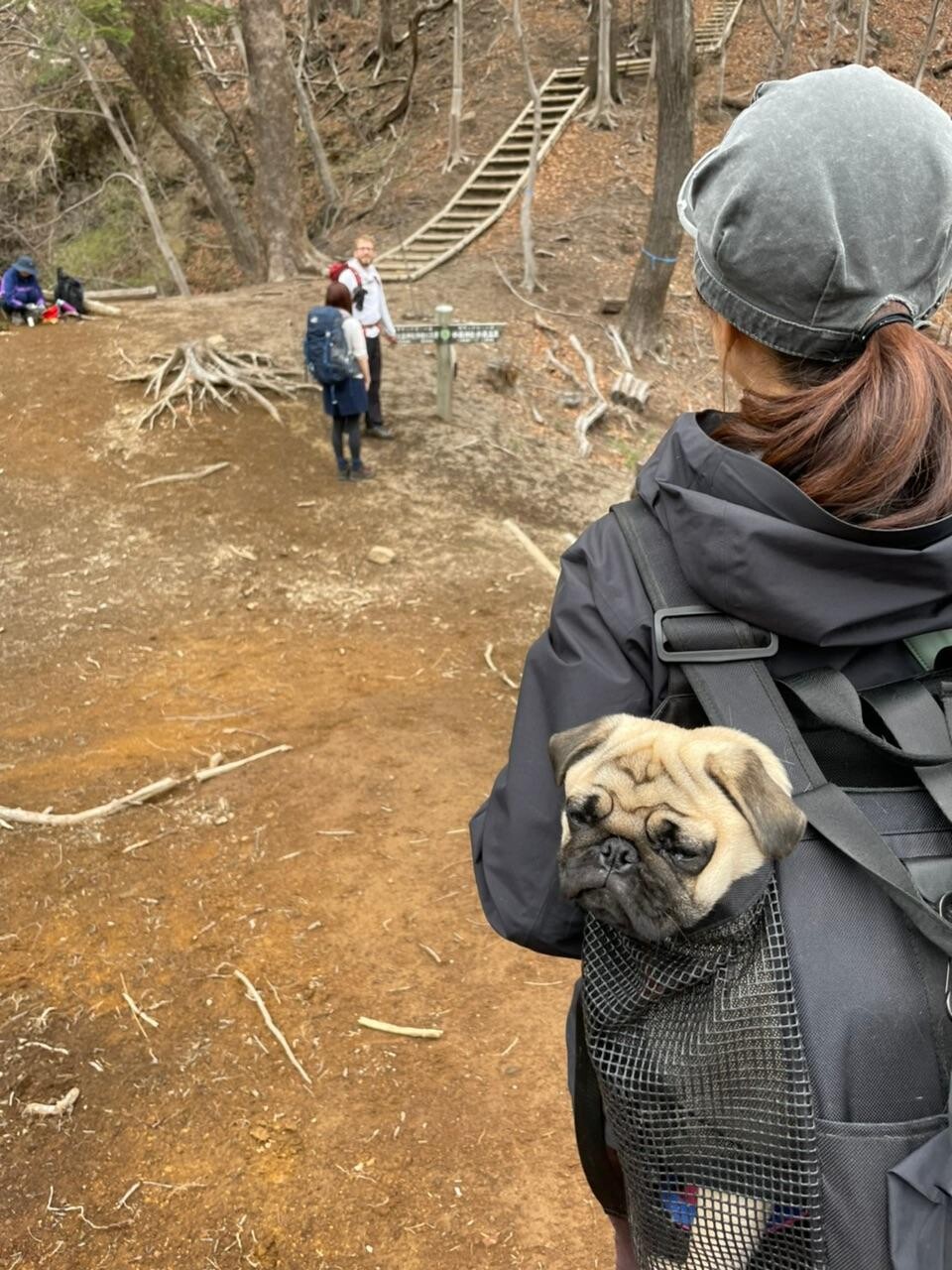 mayuのページ | YAMAP / ヤマップ